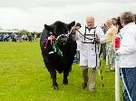 Bandon Show