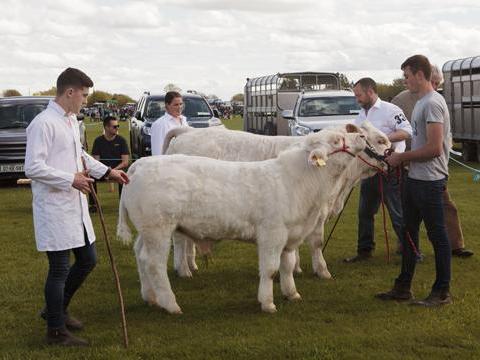 History of the Show - Bandon Show